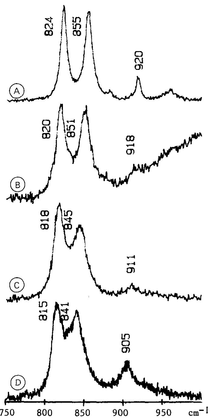 Figure 3 - Comparison of the raman microprobe spectra of