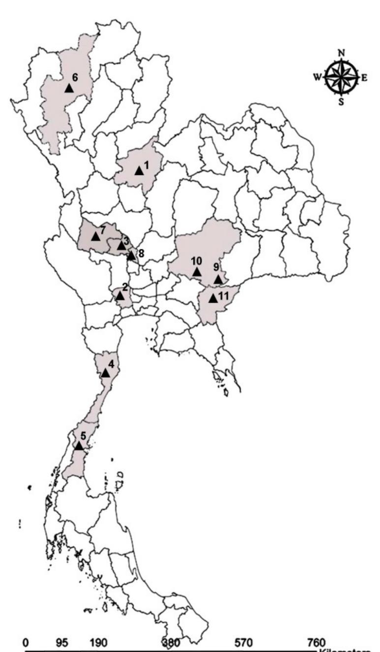 Map of tabanus collection sites in thailand: phitsanulok