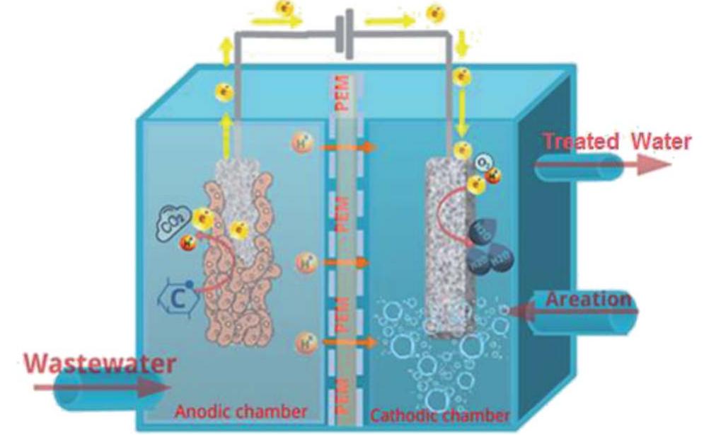 Aschematic representation of a double-chamber microbial fuel