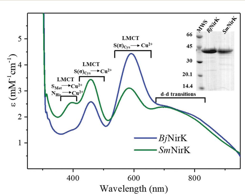 Uv-vis absorption spectra of the as-prepared bjnirk and