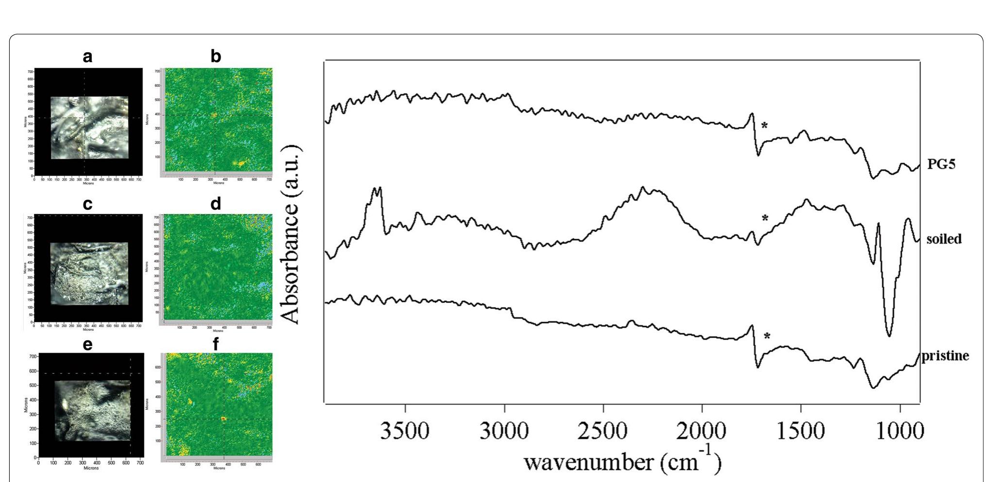 Ftir-2d imaging of the black golden msa paint mock-up,