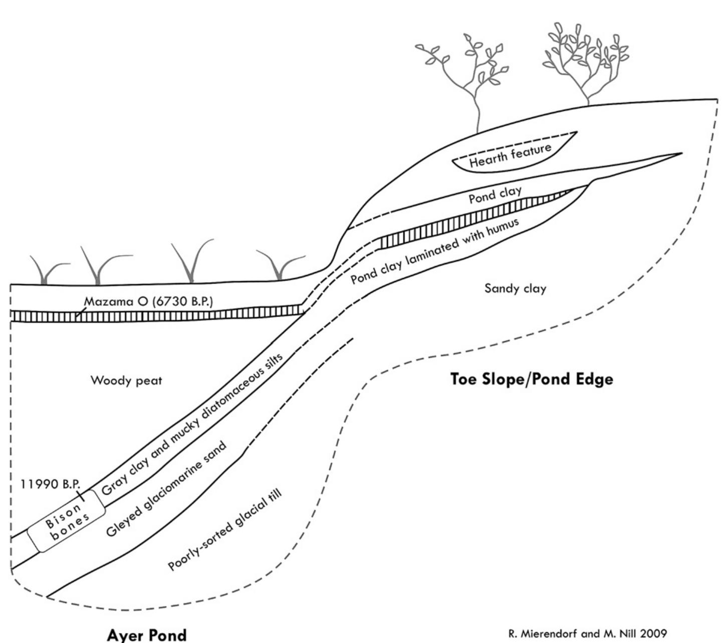 Schematic cross-section, correlation diagram showing