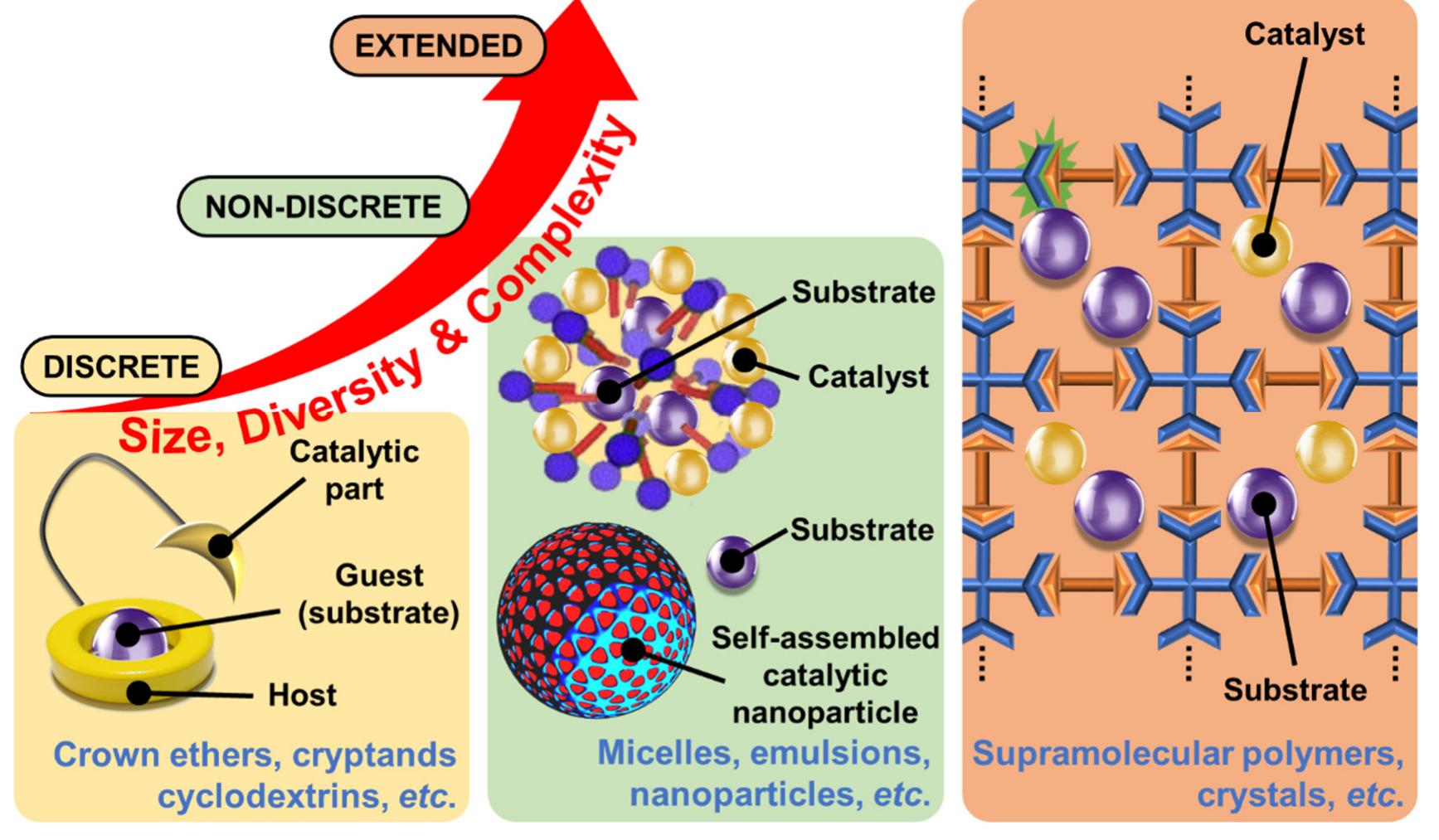 (figure 1) [16]. the first simple enzyme mimics were