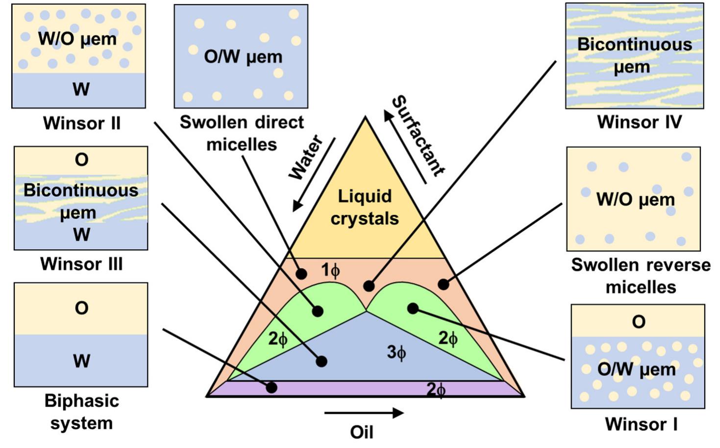 A schematic phase diagram of a surfactant/water/oil ternary