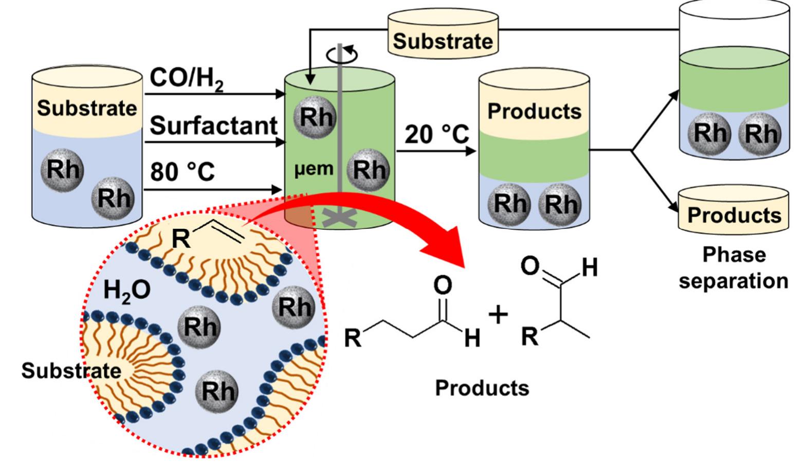 The schematic process for the hydroformylation of long-chain