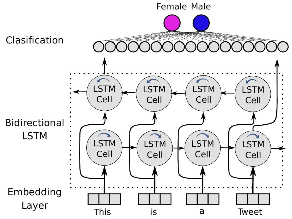 Bi-lstm architecture for gender classification in a tweet.