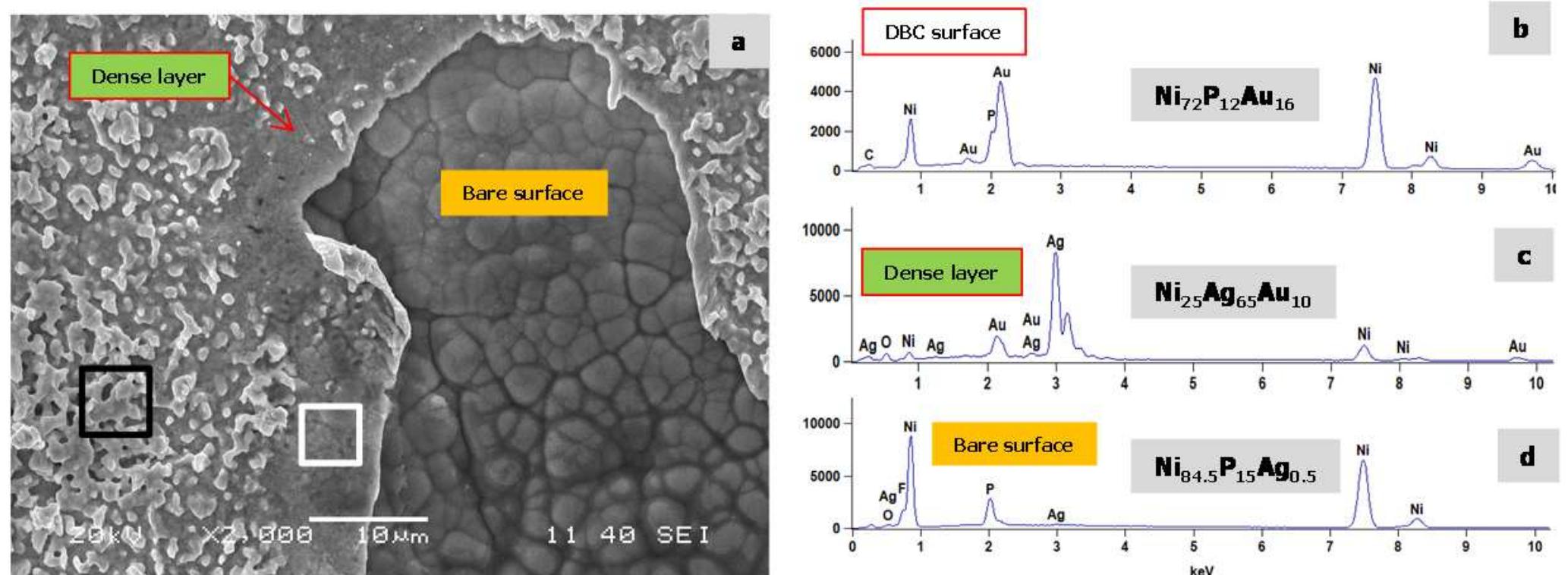 (a) sem image showing the dense layer structure and a bare