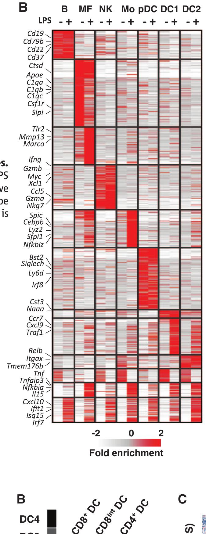 Figure 6 - Massively Parallel Single-Cell RNA-Seq for