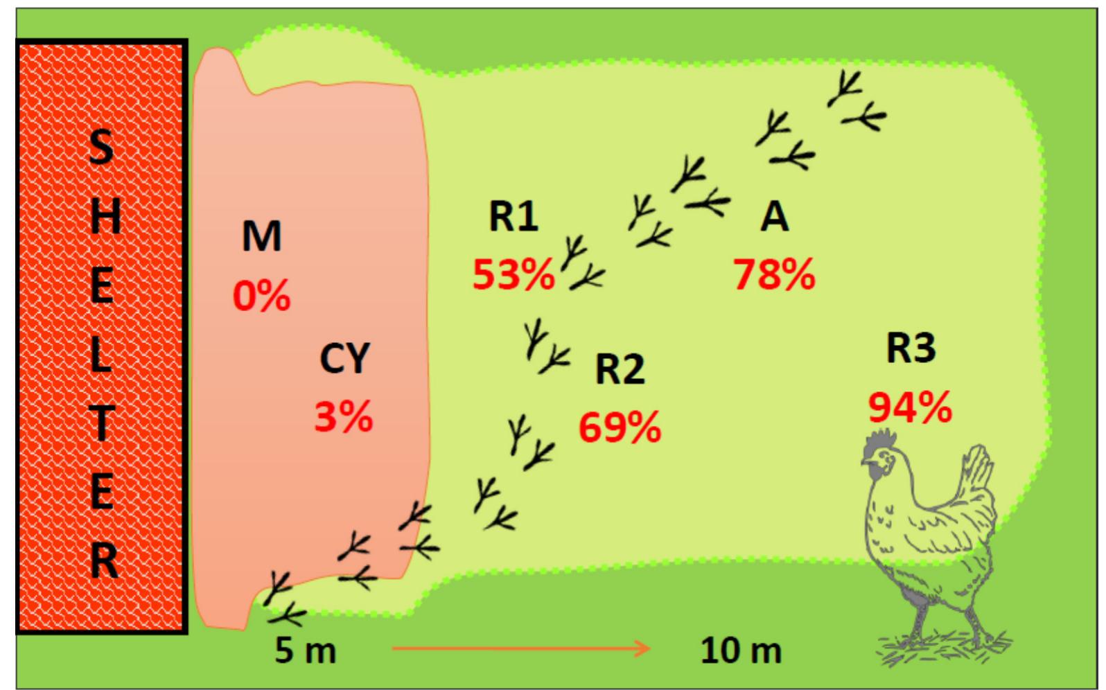 Schematic representation of outdoor run use by different