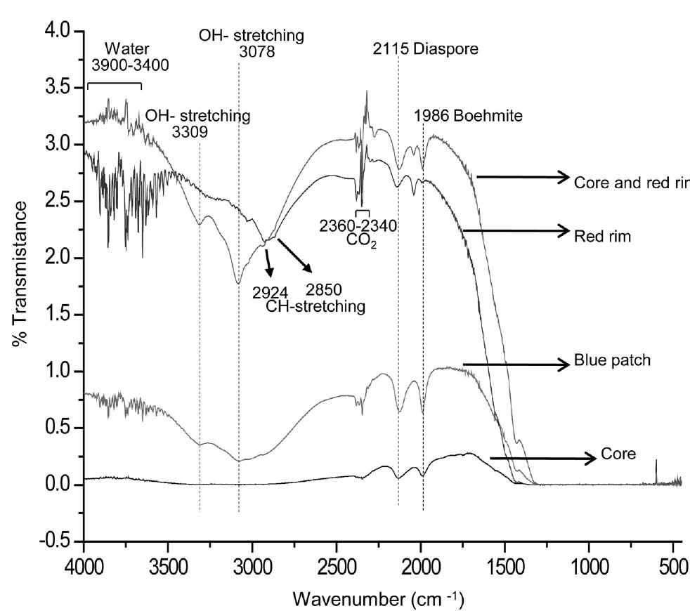 Comparison of ftir absorption spectra of all specimen groups