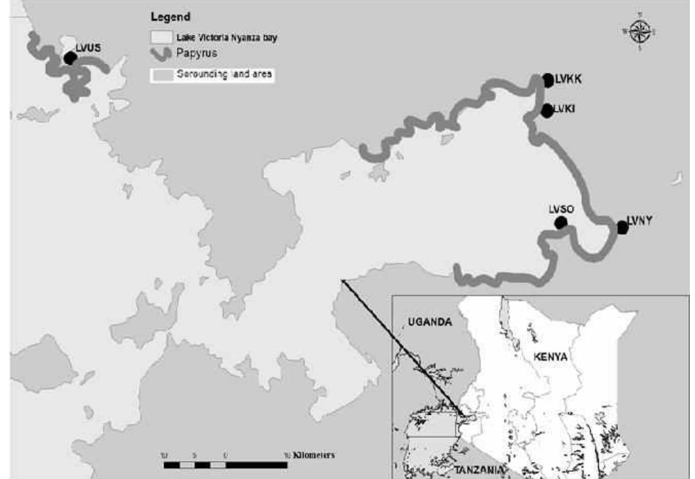 Map of kenya showing the sampling sites in nyanza bay