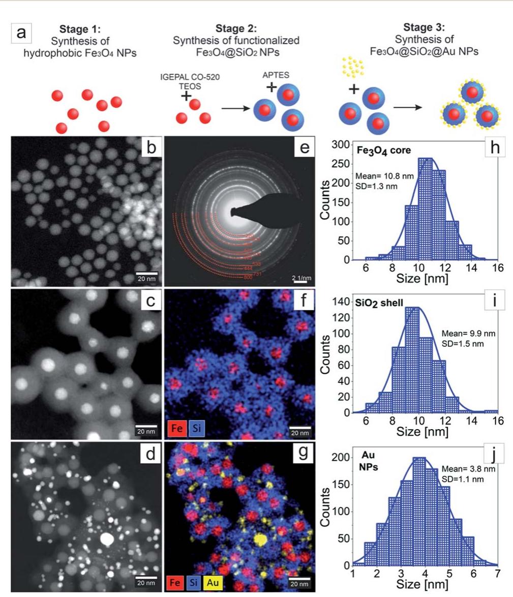 Schematic diagram of the three stages of fes0,@sio2@au nps