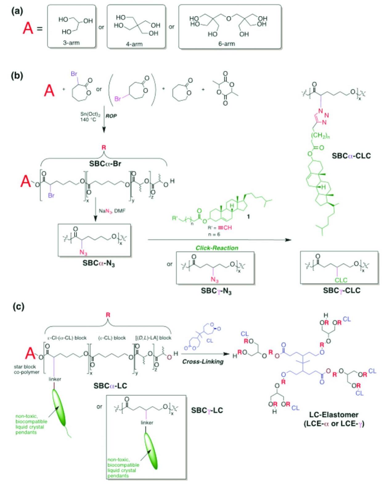(a) chemical structure of 3-arm, 4-arm, and 6-arm initiators