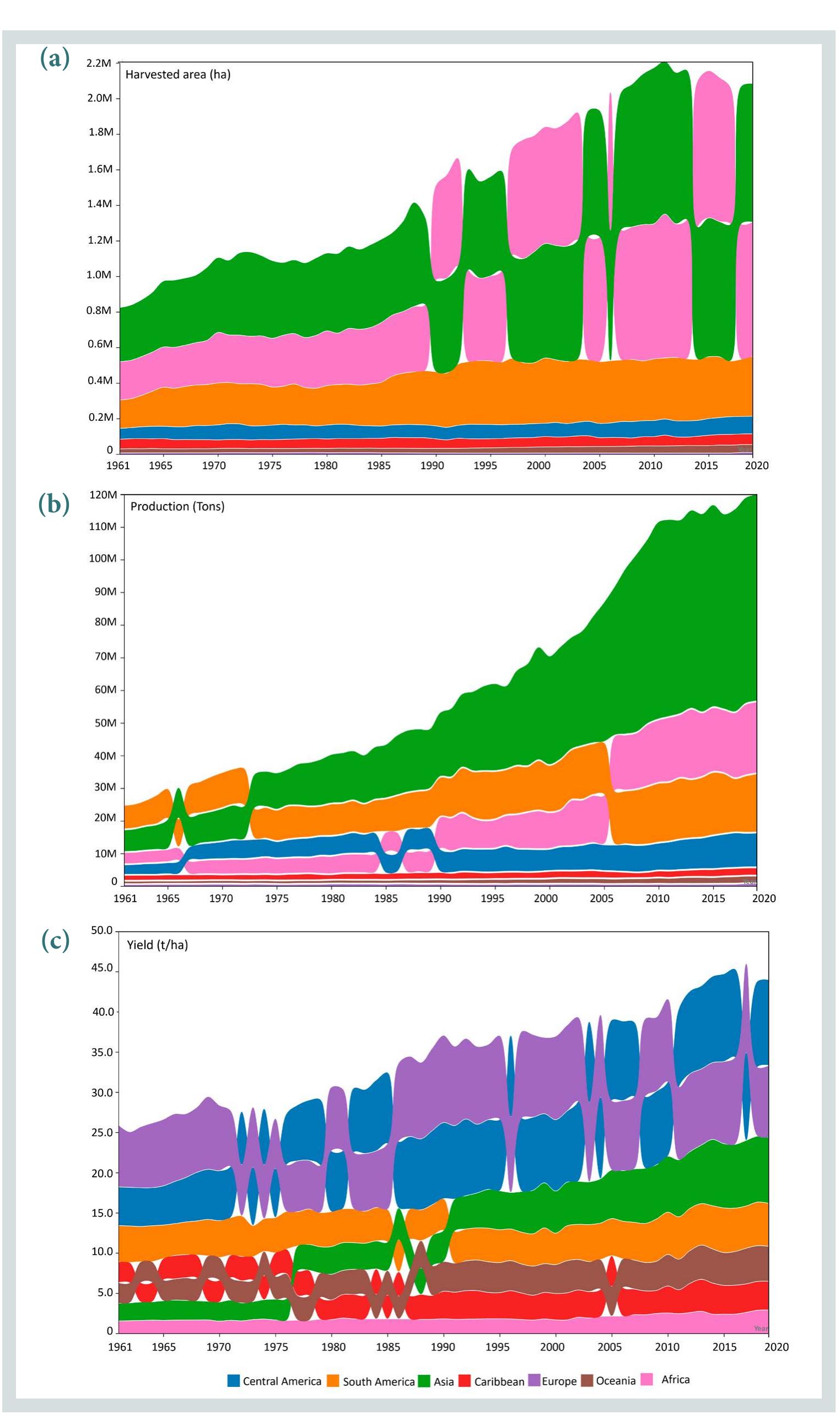 Bump chart of historical evolution (1961-2019) of banana
