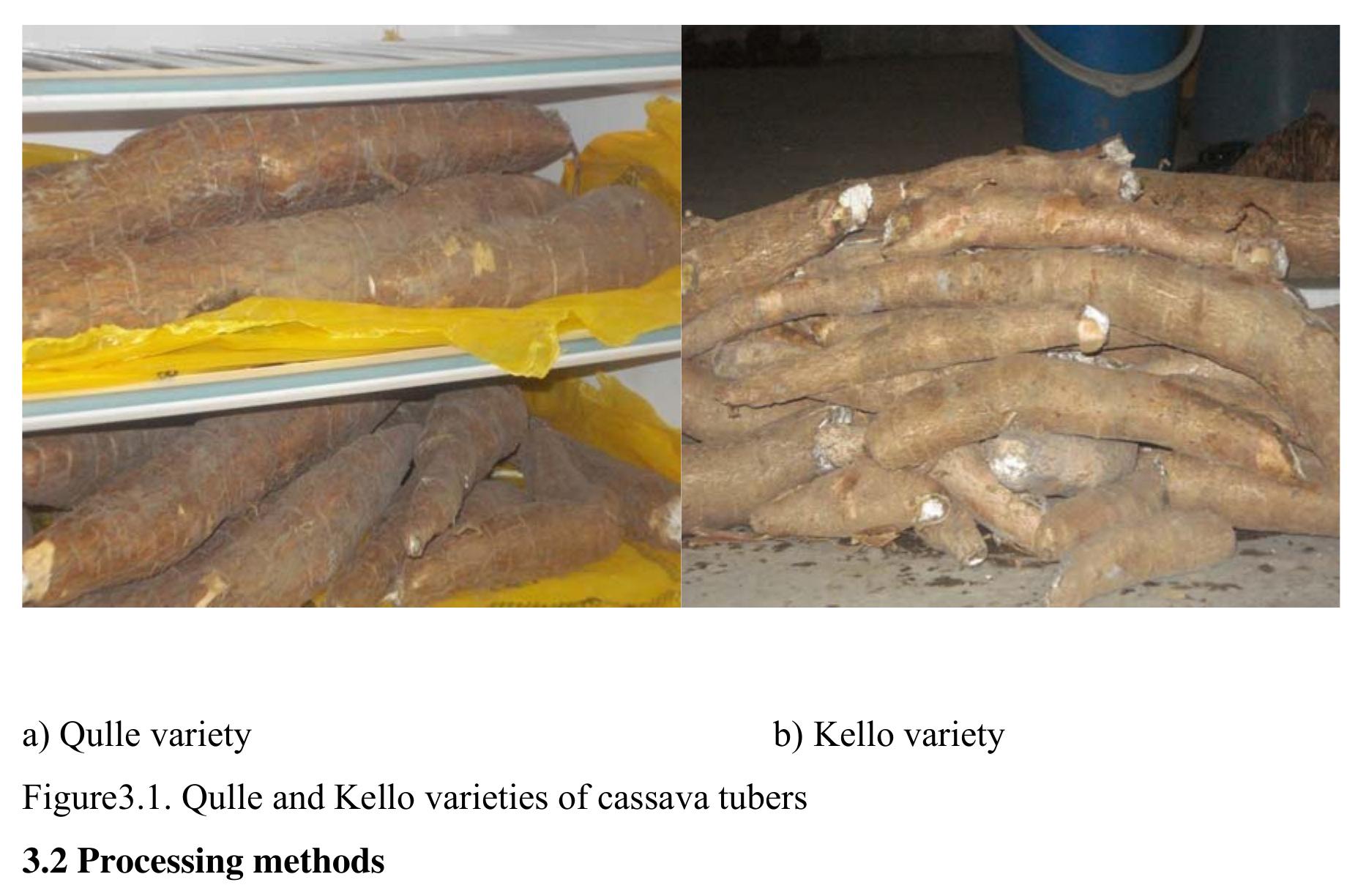 The sliced samples were boiled using boiling dish in the