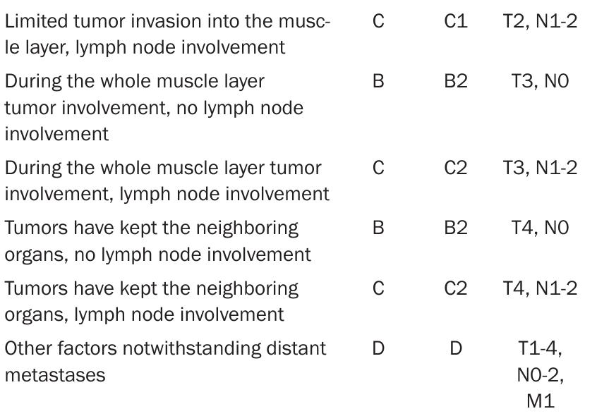 (uicc) revealed tnm classification by grouping of the tumor,
