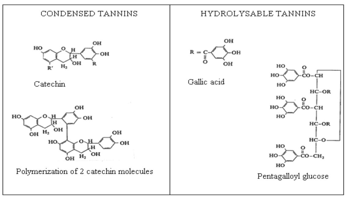 Chemical structure of two types of vegetable tannins the