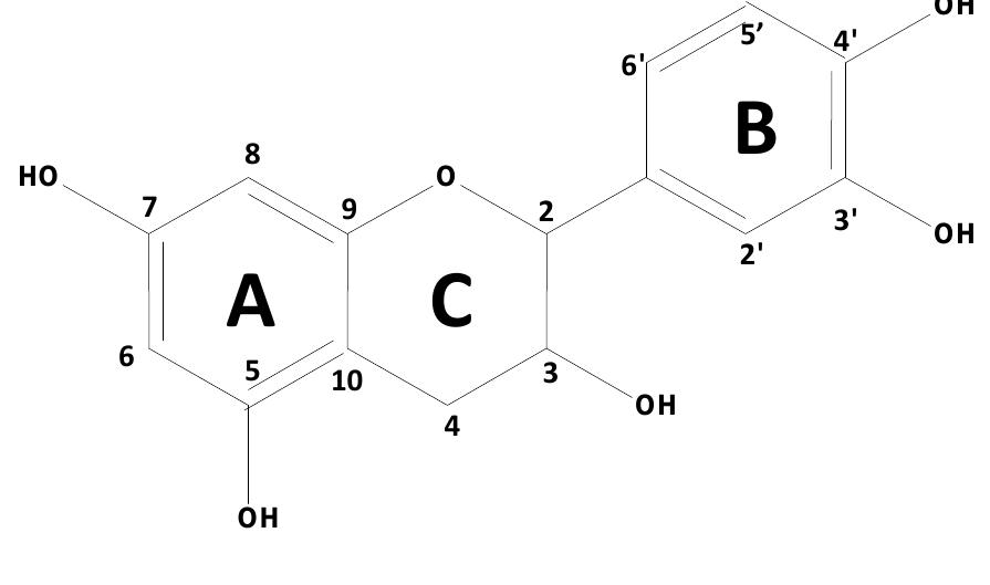 Figure 1 - from Isolation and characterization Flavonoids