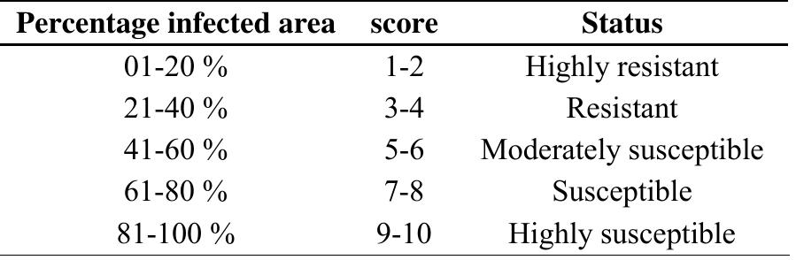 Disease rating scale exhibiting disease severity. thus the