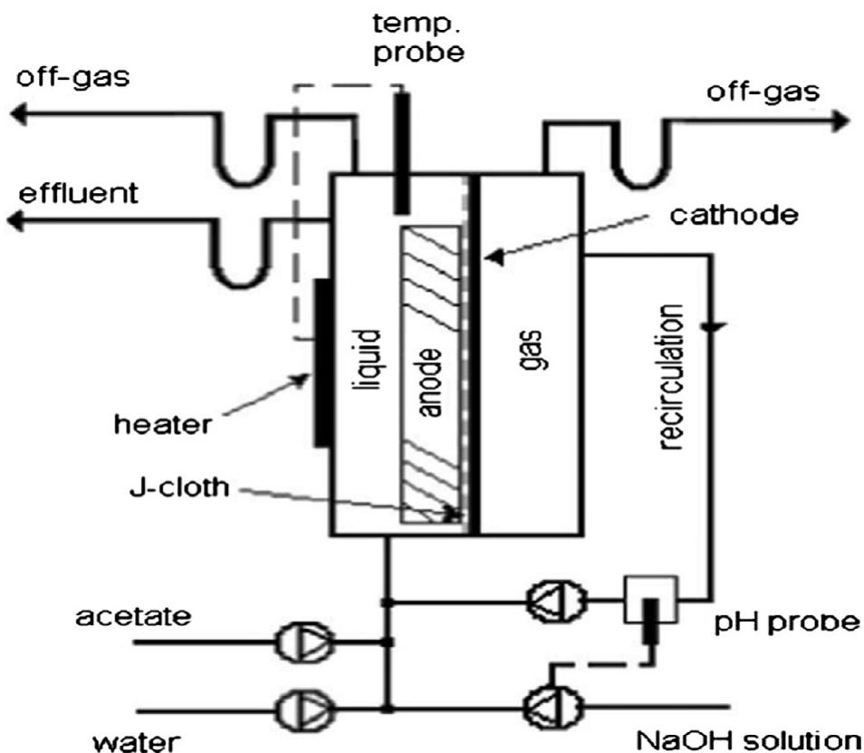 Diagram of a continuous flow mec setup.