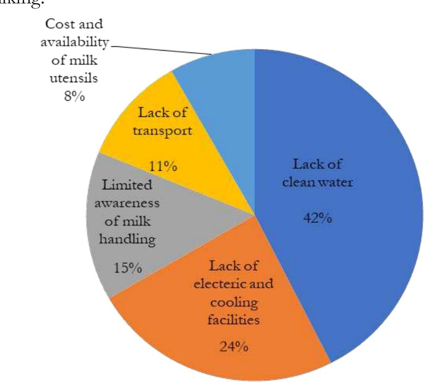 Major constraints of milk handling.