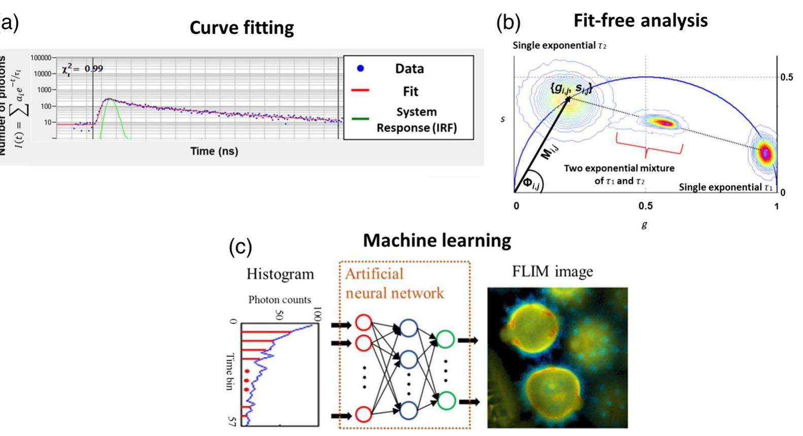 Examples of fluorescence lifetime estimation methods. (a)