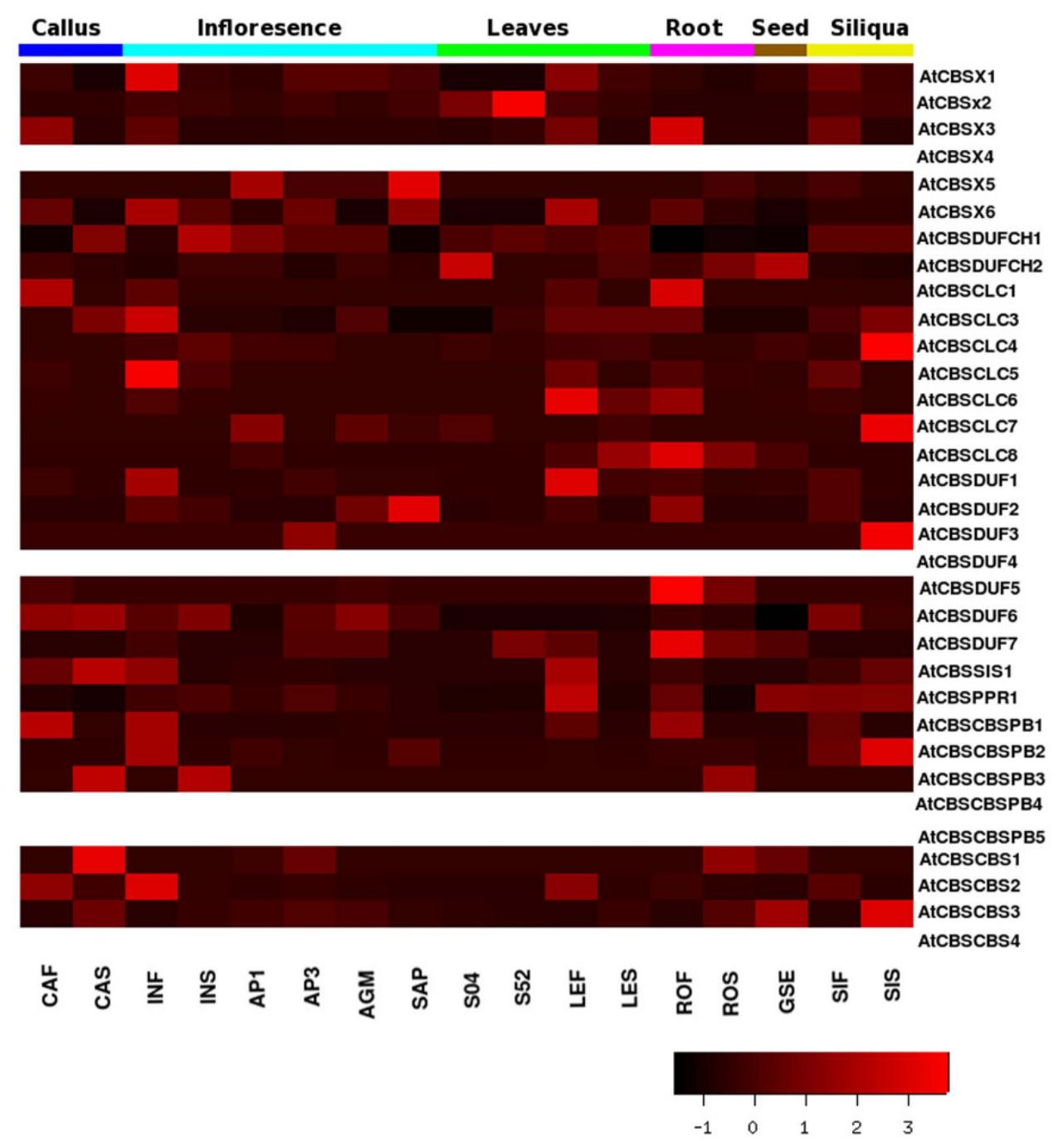 Pits ev heatmap of the expression analysis from the mpss