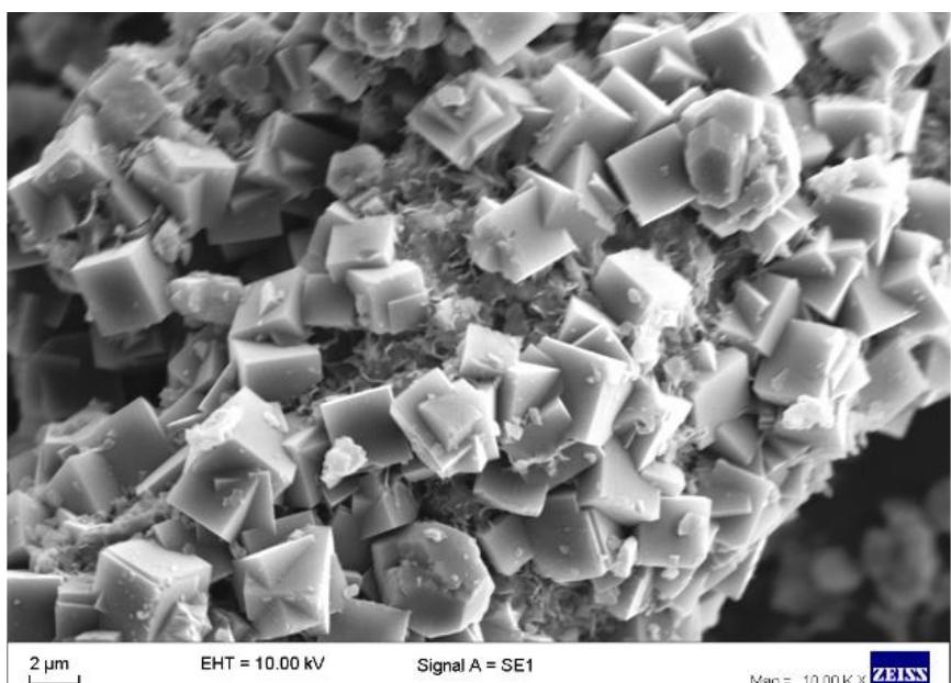 Asem micrograph showing the orientation of the crystallites