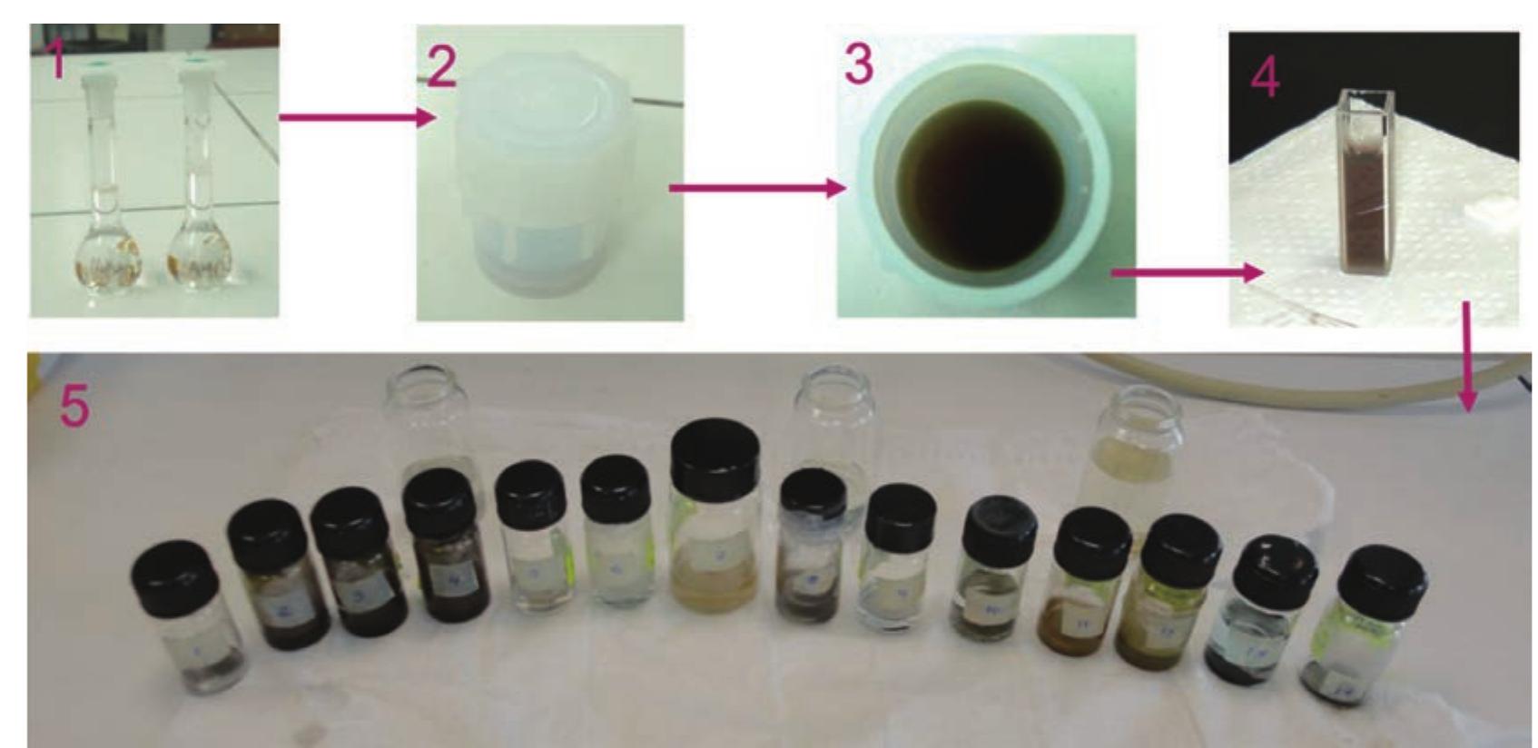 Illustration of the synthesis of copper oxide nanoparticles.