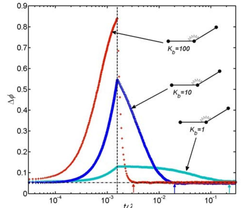 Internal bending-energy during a shear strain step test for
