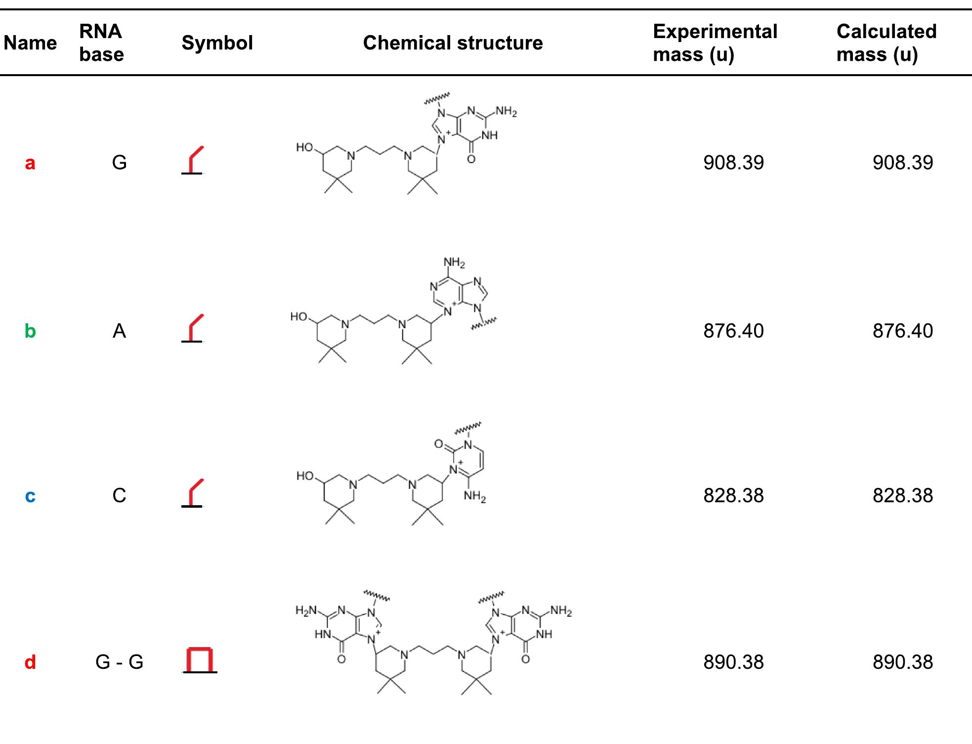 Nomenclature, nucleobases involved, symbols, representative