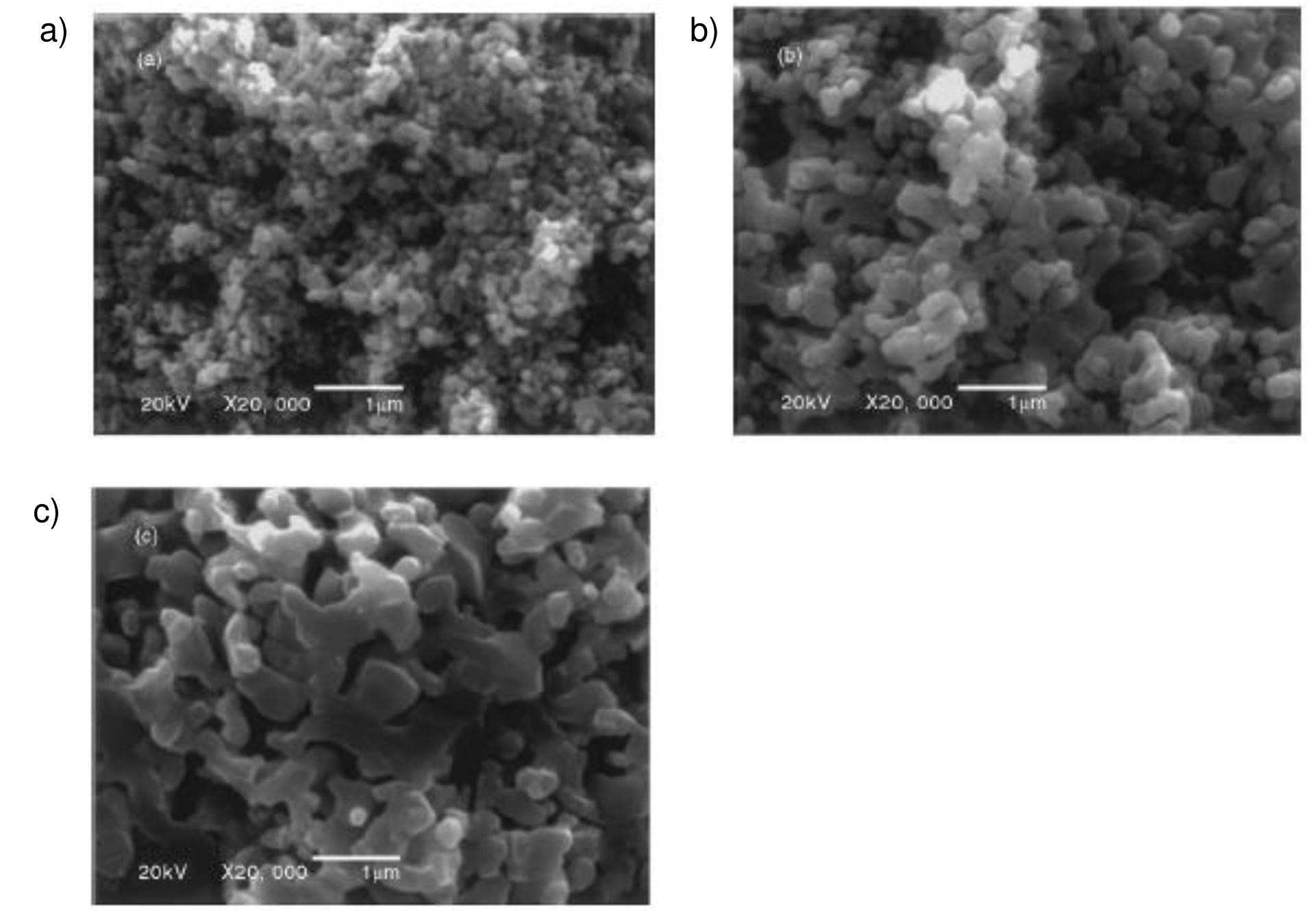 Are shown in figure 2. figure 2. sem images of the surfaces