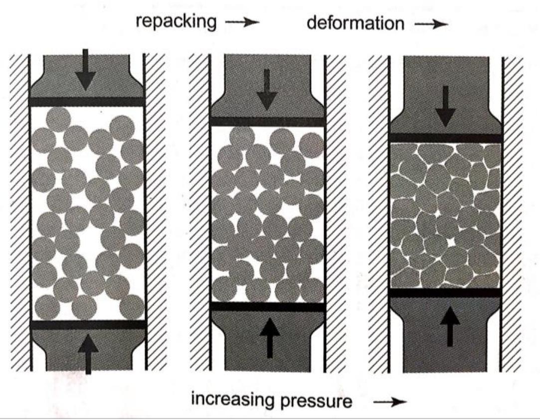 Schematic illustration of the different stages of powder