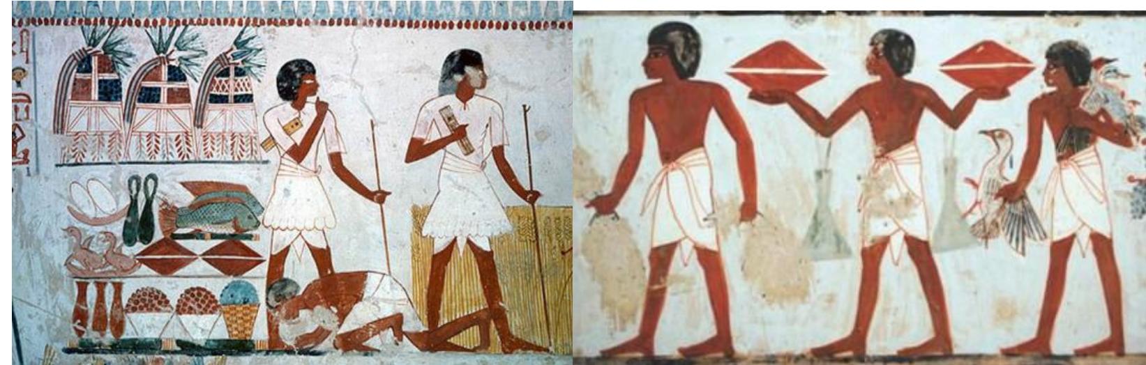 S. 11 and 12, scenes from the transverse hall of the tomb tt