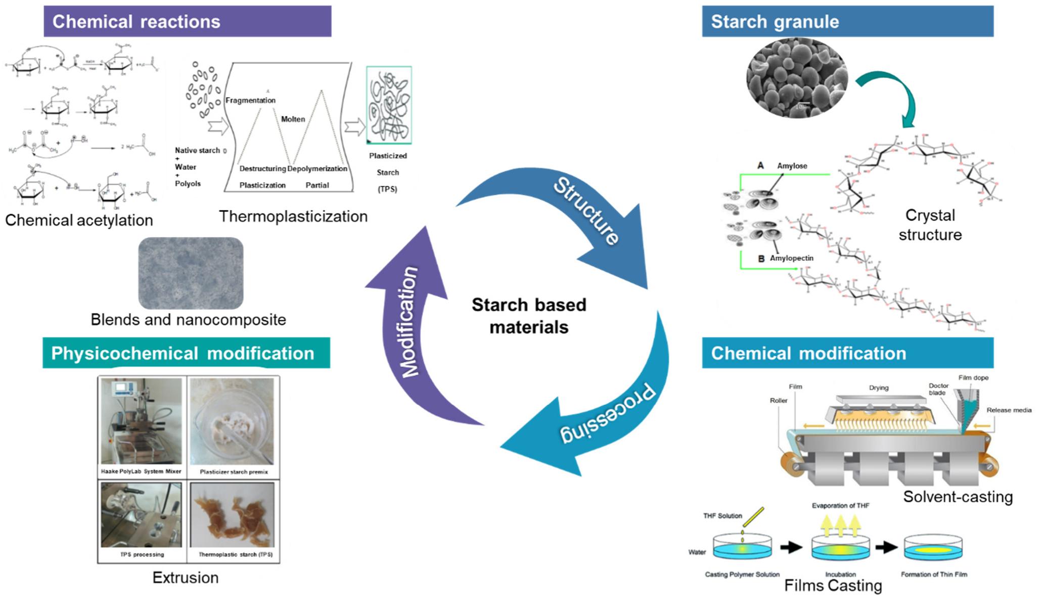 Schematic illustration of the structure, modifications and