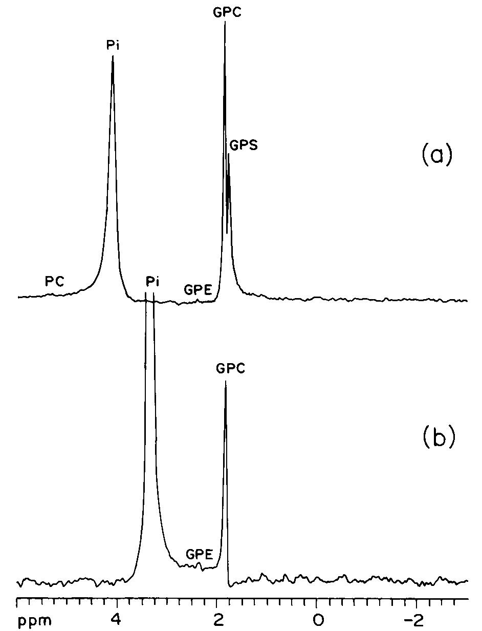 Power-gated proton-decoupled p nmr spectra of (a) ef and (b)