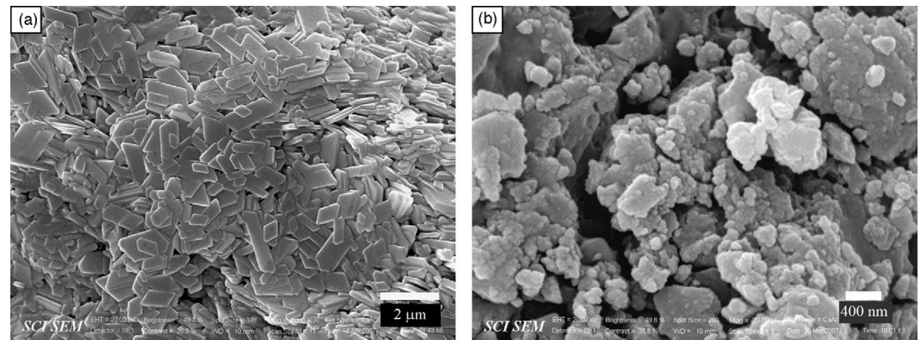 Sem micrographs of he synthesized ca(h2pox)2-h20 (a) and its