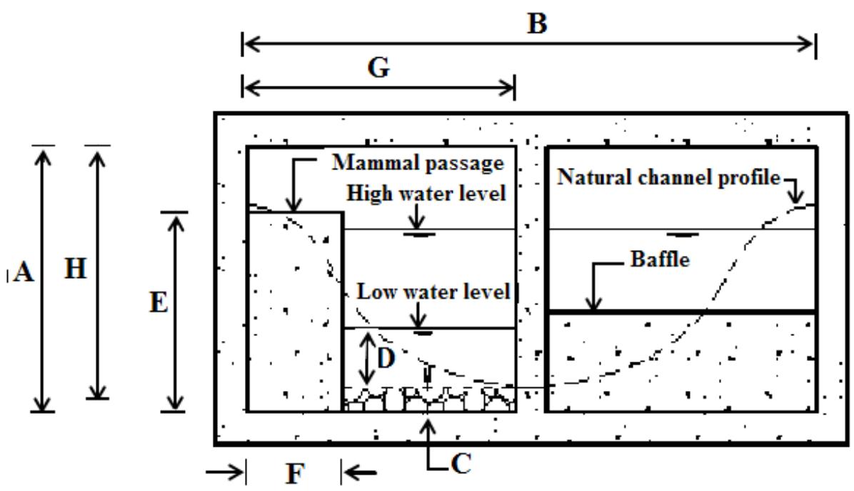 Schematic illustration of twin-box culvert to accommodate
