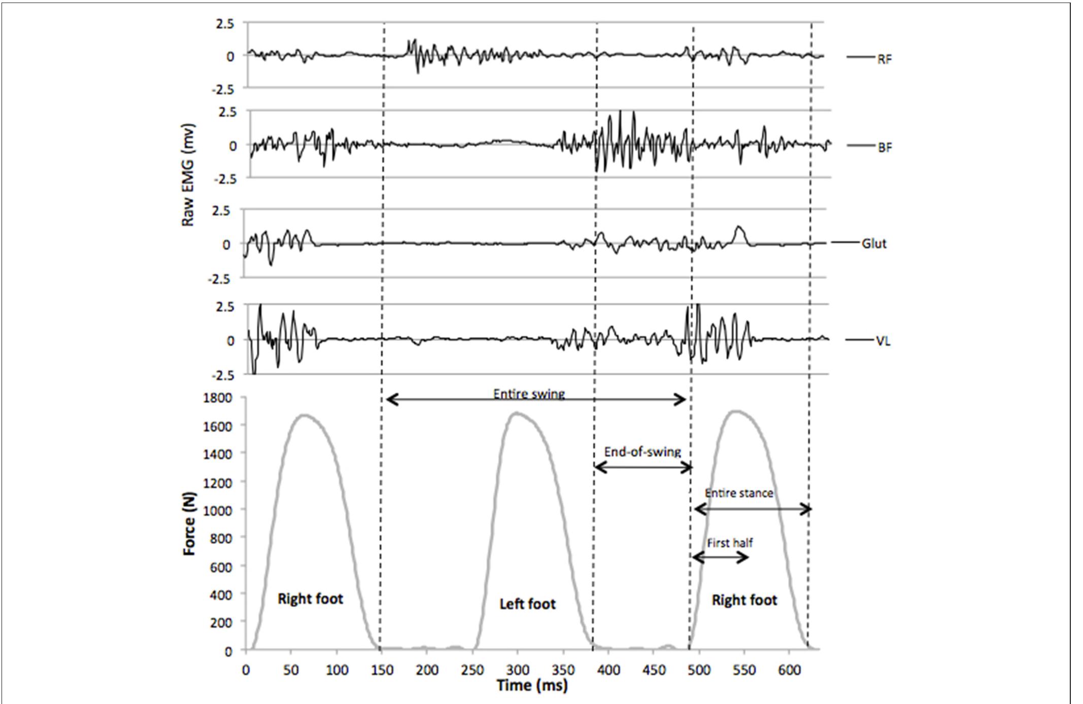 | raw emg signals for vastus lateralis (vl), gluteus maximus