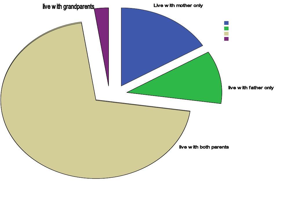 Showing family background of respondent: as shown below in