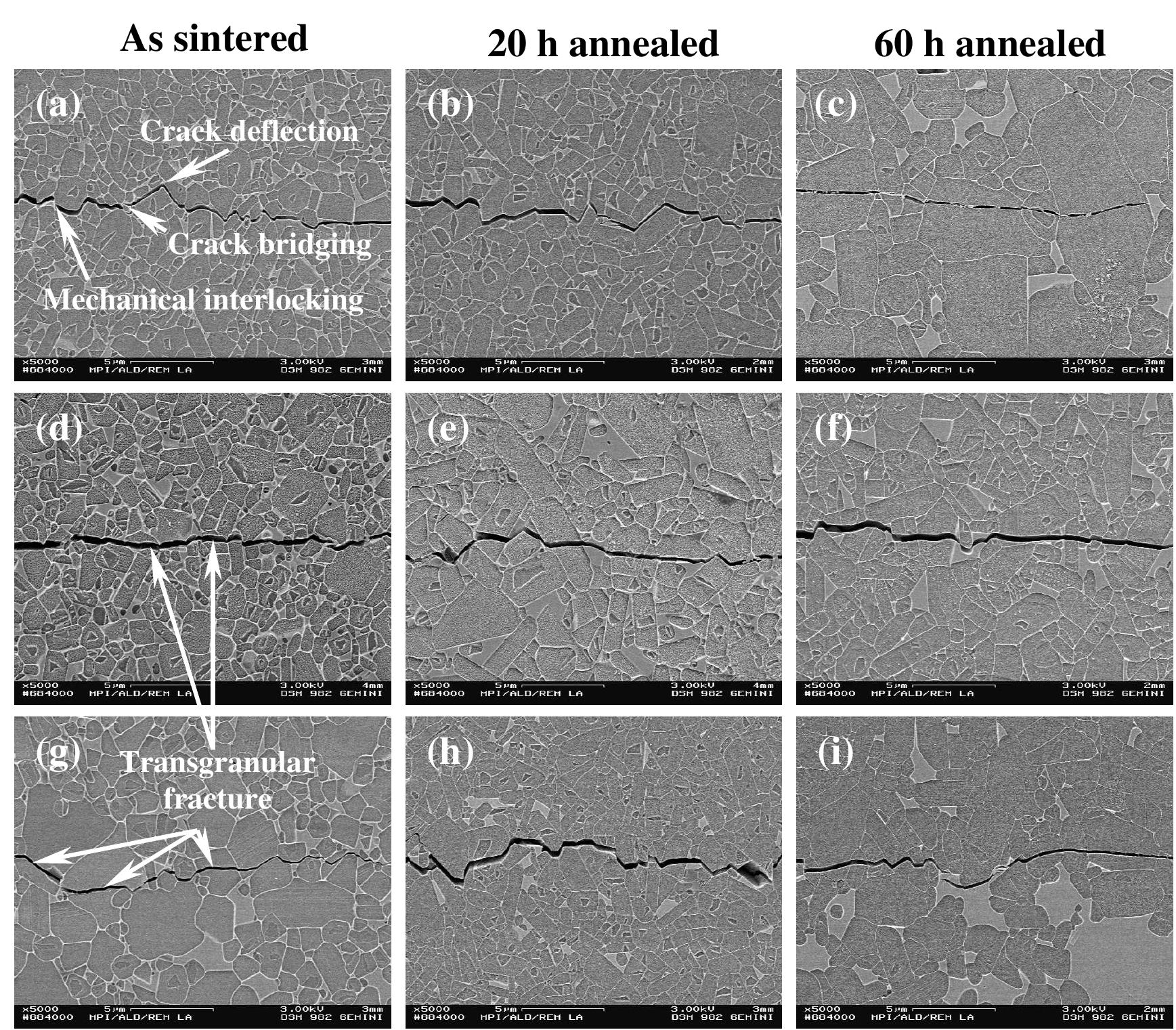 Figure 43 - Liquid Phase Sintering of SiC Ceramics With Rare