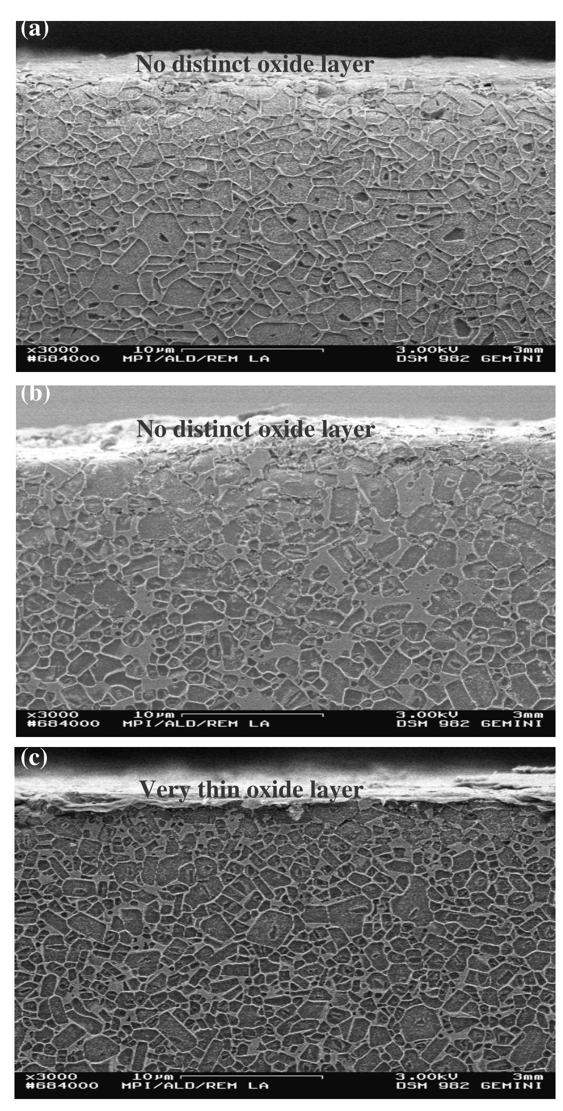 Figure 63 - Liquid Phase Sintering of SiC Ceramics With Rare