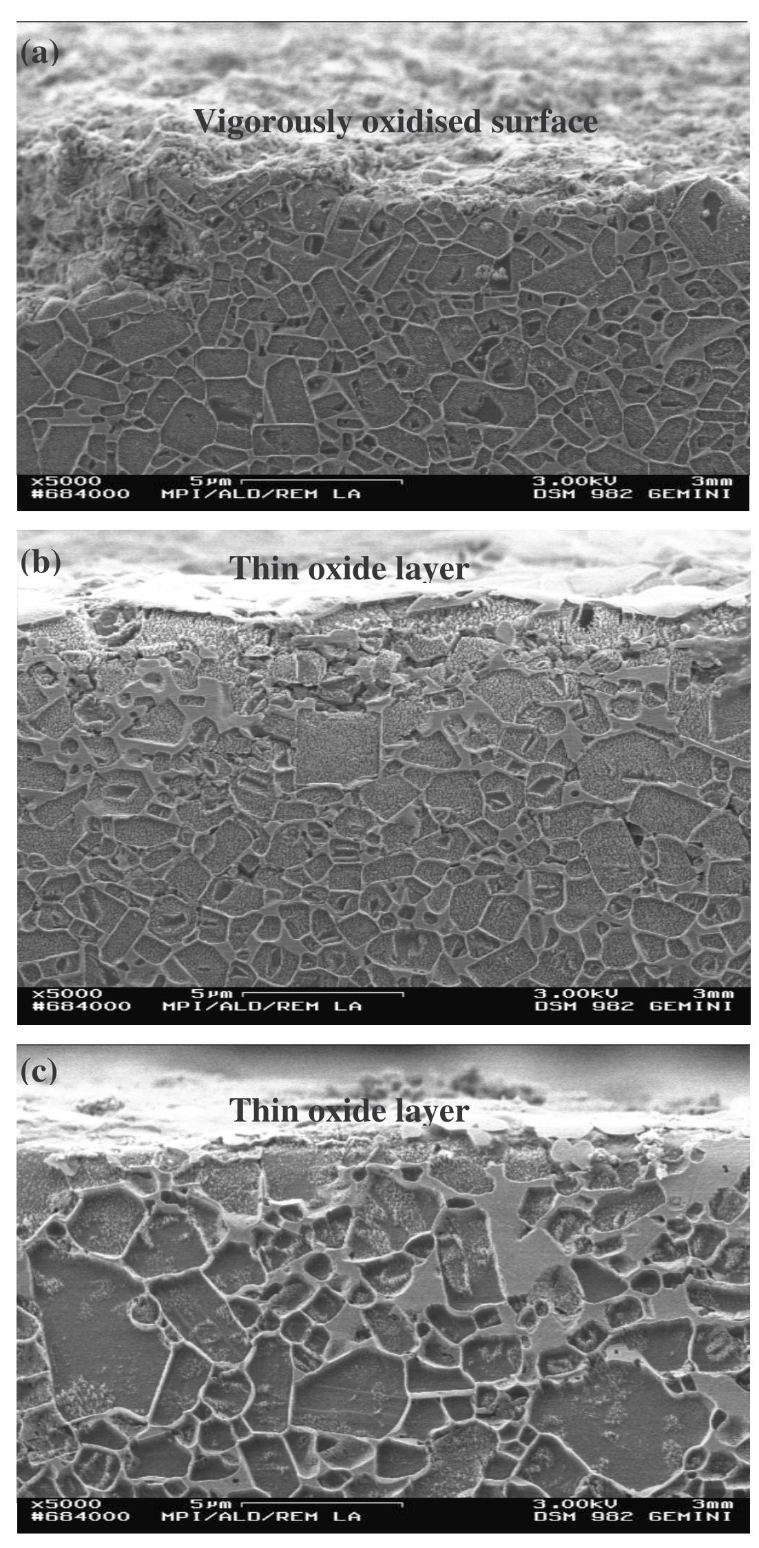 Figure 64 - Liquid Phase Sintering of SiC Ceramics With Rare