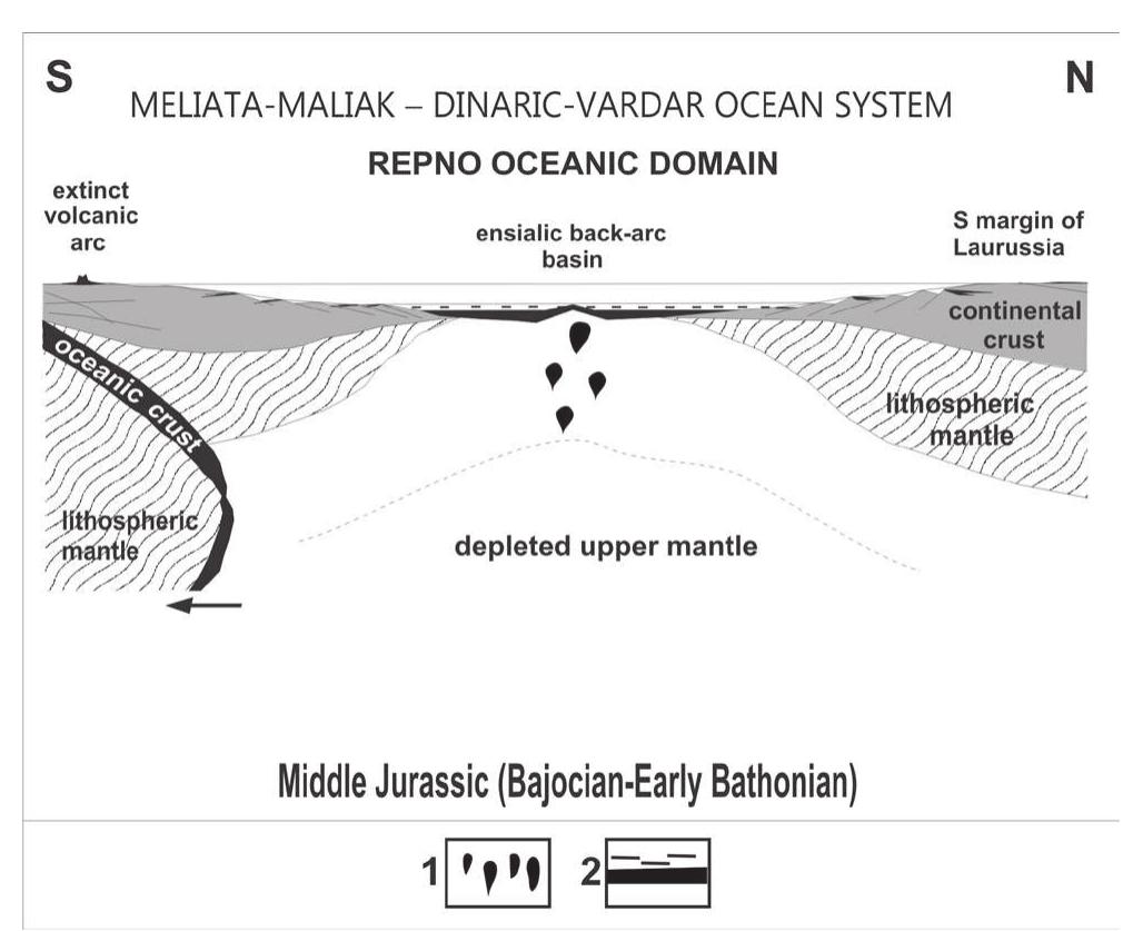 Schematic geodynamic sketch of the tectonic setting of the