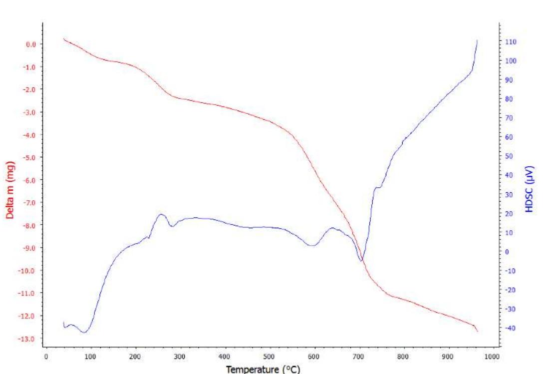 Differential scanning calorimetry and thermogravimetric