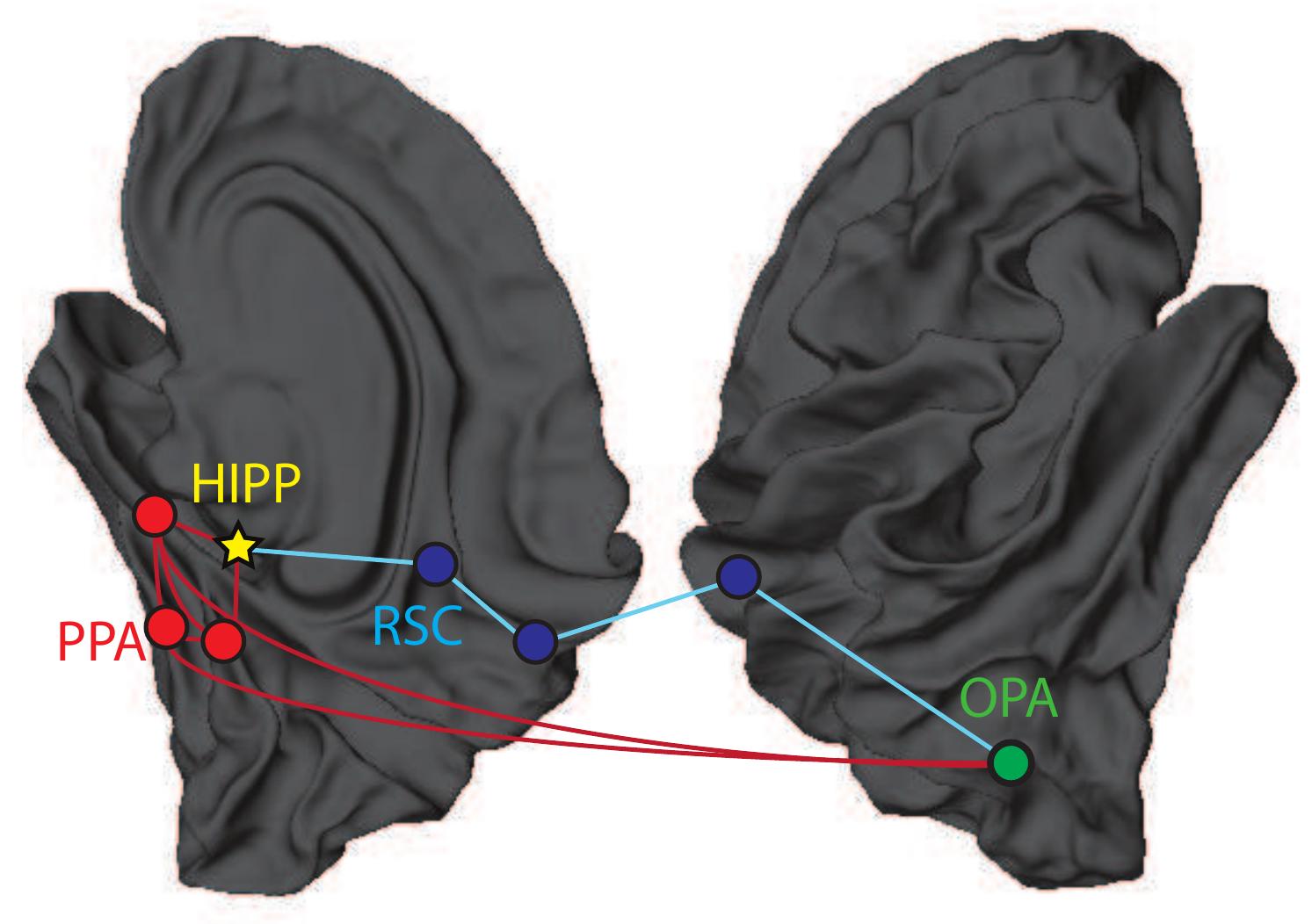 Figure 4 - Anchoring the Cognitive Map to the Visual World