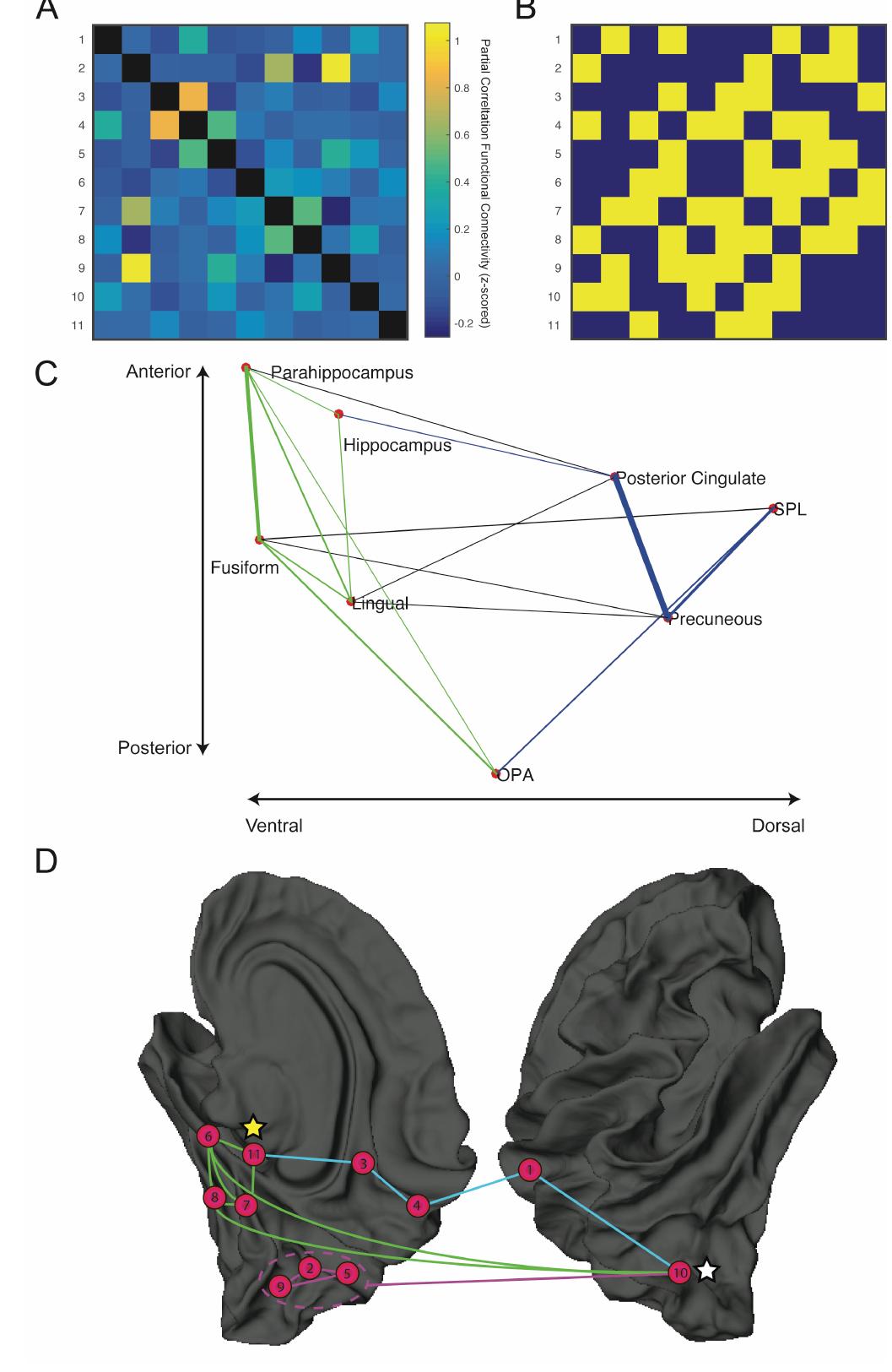 Figure 21 - Anchoring the Cognitive Map to the Visual World