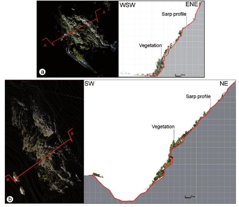 - detailed morphometric cross section from laser scanner