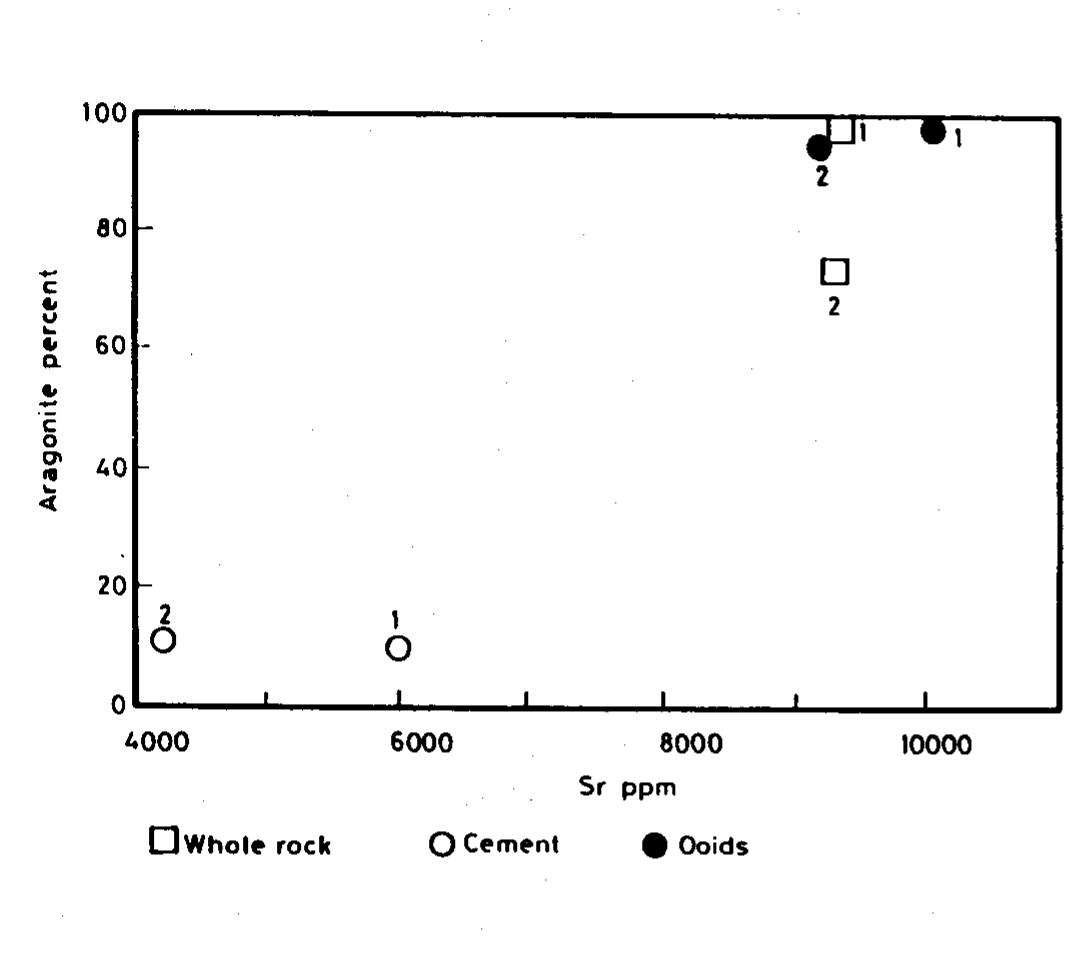 Values are most likely the result of alteration by meteoric