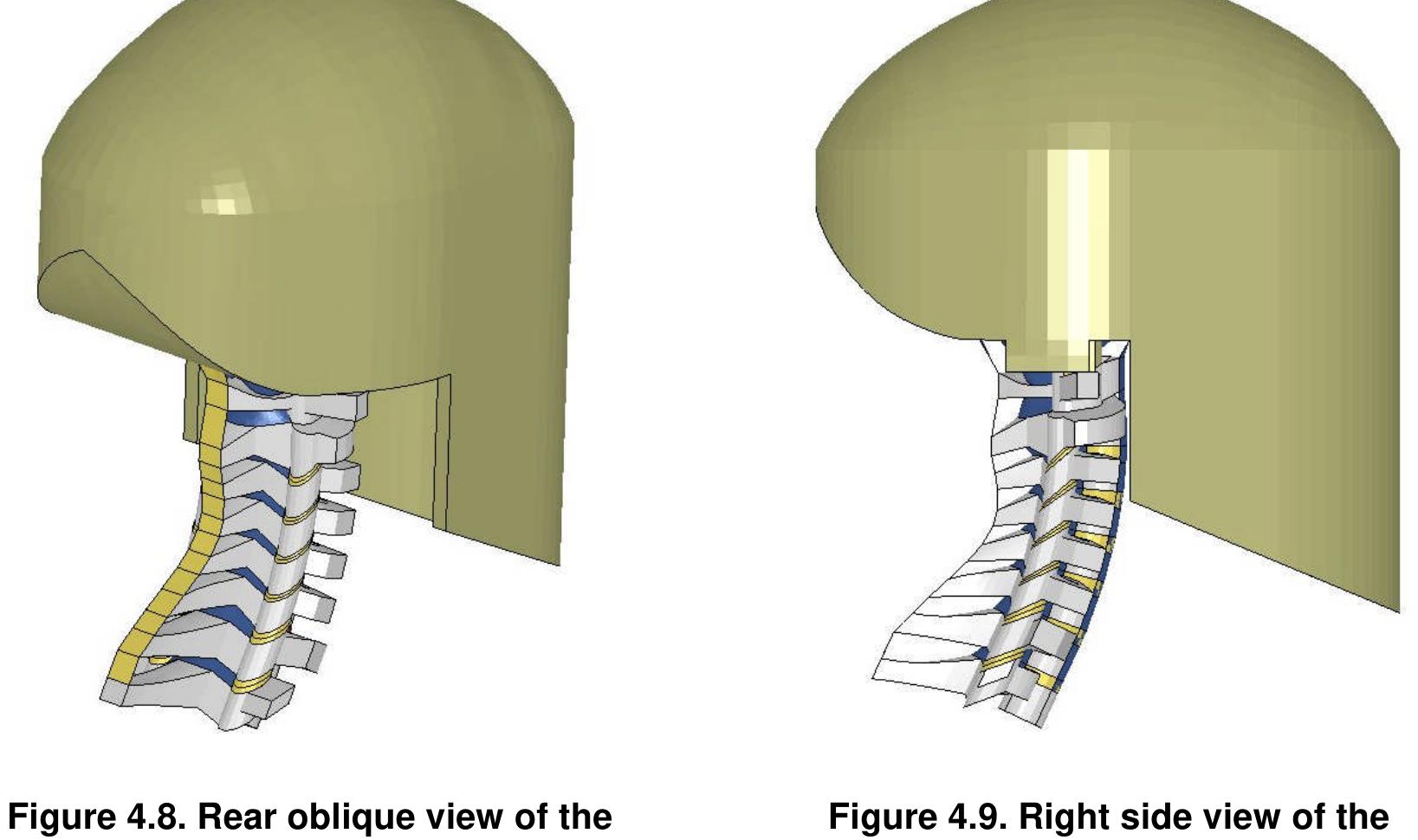 As shown by these figures, the main cervical anatomy modeled